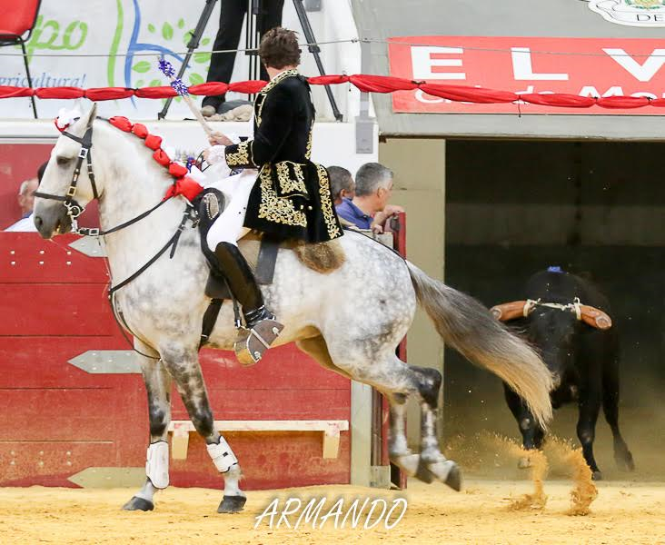 Marcos-Tenório, Notícias